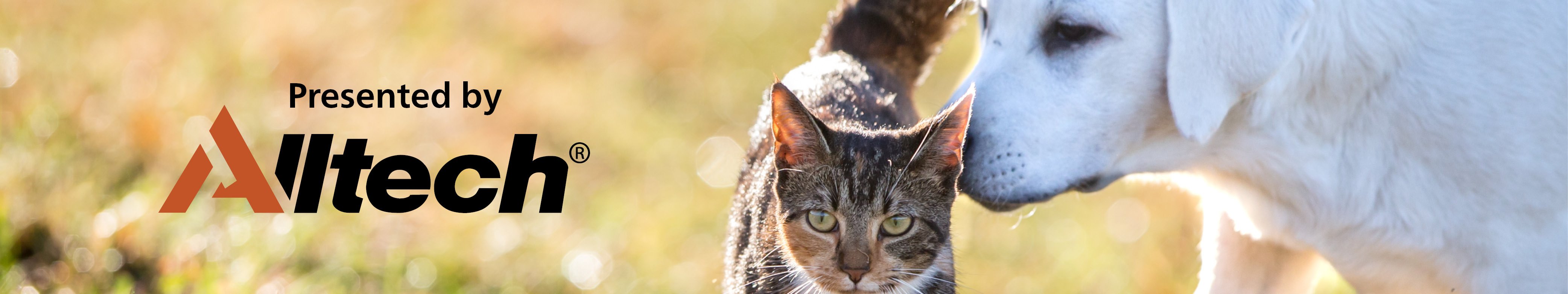 Alltech announces Microbuild™ for Pets